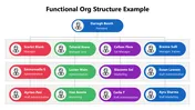 Functional Org Structure Example PPT And Canva Template
