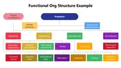 Functional Org Structure Example PPT And Canva Template