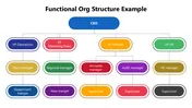 Functional Org Structure Example PPT And Canva Template