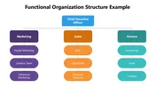 Functional Organization Structure Example Presentation