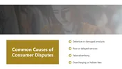Consumer Disputes Presentation And Canva Template