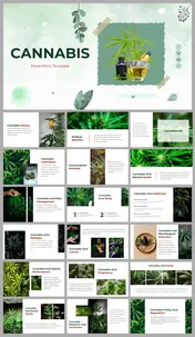 Cannabis PPT Templates and Google Slides For Presentation