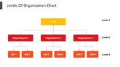 Organization Chart Free PowerPoint Template & Google Slides