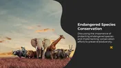 Slideshow About Animals And Google Slides Templates