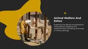 Slideshow About Animals And Google Slides Templates