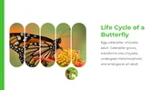 Get Now! Butterfly PowerPoint Template And Google Slides Themes