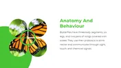 Get Now! Butterfly PowerPoint Template And Google Slides Themes