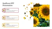 Rose Flower PowerPoint Presentation and Google Slides Themes