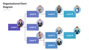 Elegant Organizational Chart PPT Free Download