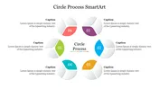 8 Steps Circular Process Multicolor PowerPoint Template