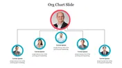 Best Organization Chart PowerPoint Template & Google Slides