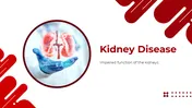 Kidney Disease PPT Presentation And Google Slides Templates