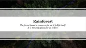 Forest PowerPoint Presentation and Google Slides Templates