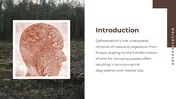 Get this Deforestation PowerPoint and Google Slides Themes