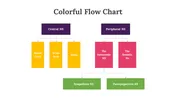 Colorful Flow Chart PowerPoint And Google Slides Templates