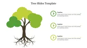 Innovative Tree Branch Template Presentation For Slide