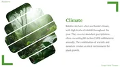 Download Rainforest PowerPoint and Google Slides Templates