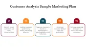 Customer Analysis Sample Marketing Plan Google Slides Themes