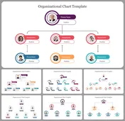 Creative Organizational Chart PPT Template and Google Slides