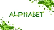 Alphabet PPT Presentation And Google Slides Templates