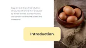 Egg PowerPoint Presentation And Google Slides Themes