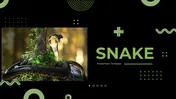 Snake PPT Presentation And Google Slides Templates