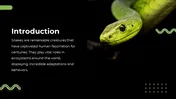 Snake PPT Presentation And Google Slides Templates
