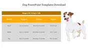 Get This Lion PowerPoint And Google Slides Templates