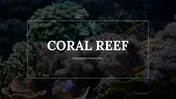 Explore Coral Reef PowerPoint And Google Slides Templates