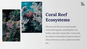 Explore Coral Reef PowerPoint And Google Slides Templates