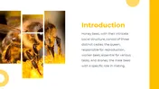 Castes Of Honey Bee Presentation And Google Slides Themes