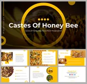Attractive Bee PowerPoint Template and Google Slides