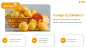 Get This Mango PowerPoint And Google Slides Templates