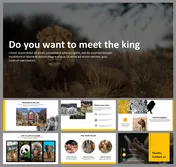Monkey PowerPoint Presentation And Google Slides Templates