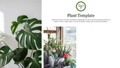 Plant Cells Structure Presentation And Google Slides