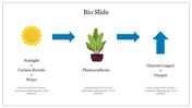 Biology PowerPoint Template and Google Slides Themes