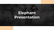 Elephant PPT Presentation And Google Slides Templates