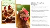 Birds PPT Presentation And Google Slides Templates