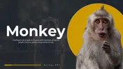 Monkey PowerPoint Presentation And Google Slides Templates