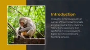 Monkey PowerPoint Presentation And Google Slides Templates