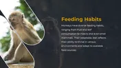 Monkey PowerPoint Presentation And Google Slides Templates