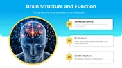 Buy this Neurology PowerPoint and Google Slides Templates
