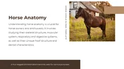 Explore The Horse PowerPoint And Google Slides Themes