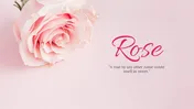 Rose Background PowerPoint and Google Slides Themes