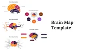 Get Our Human Brain PowerPoint And Google Slides Template