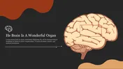 Get Our Human Brain PowerPoint And Google Slides Template