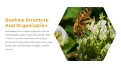 Honey Bee PPT Presentation And Google Slides Themes