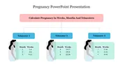 Get Now! Pregnancy PPT Template Free Download Presentation