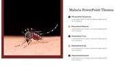 Free Malaria PowerPoint Template and Google Slides