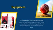 Cricket Theme PowerPoint and Google Slides Templates
